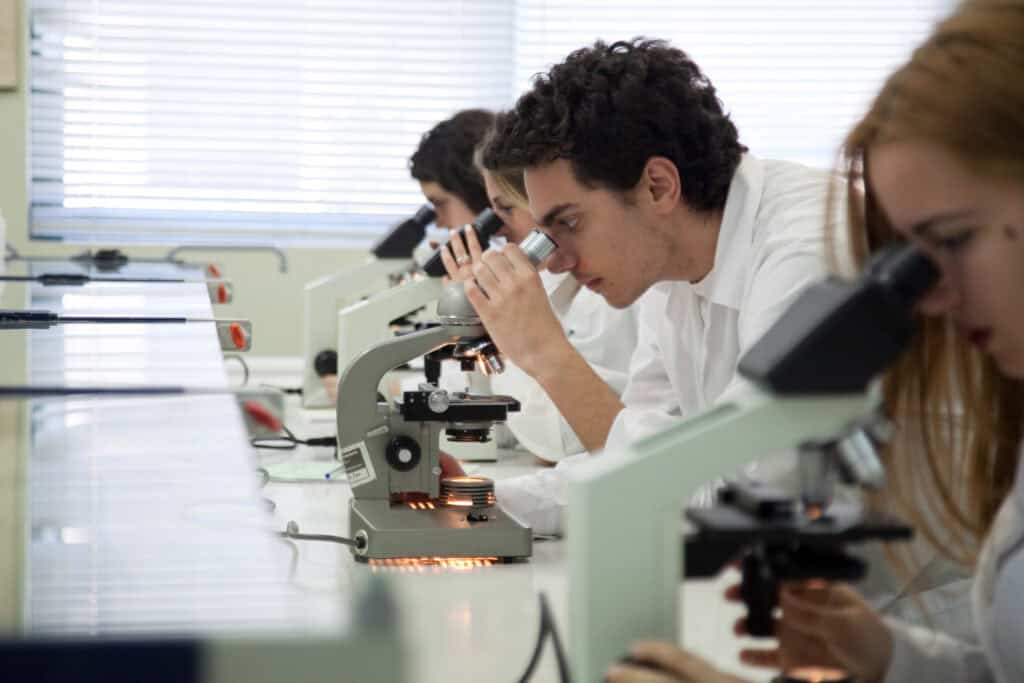 Labs – Clinics – Faculty of Medicine